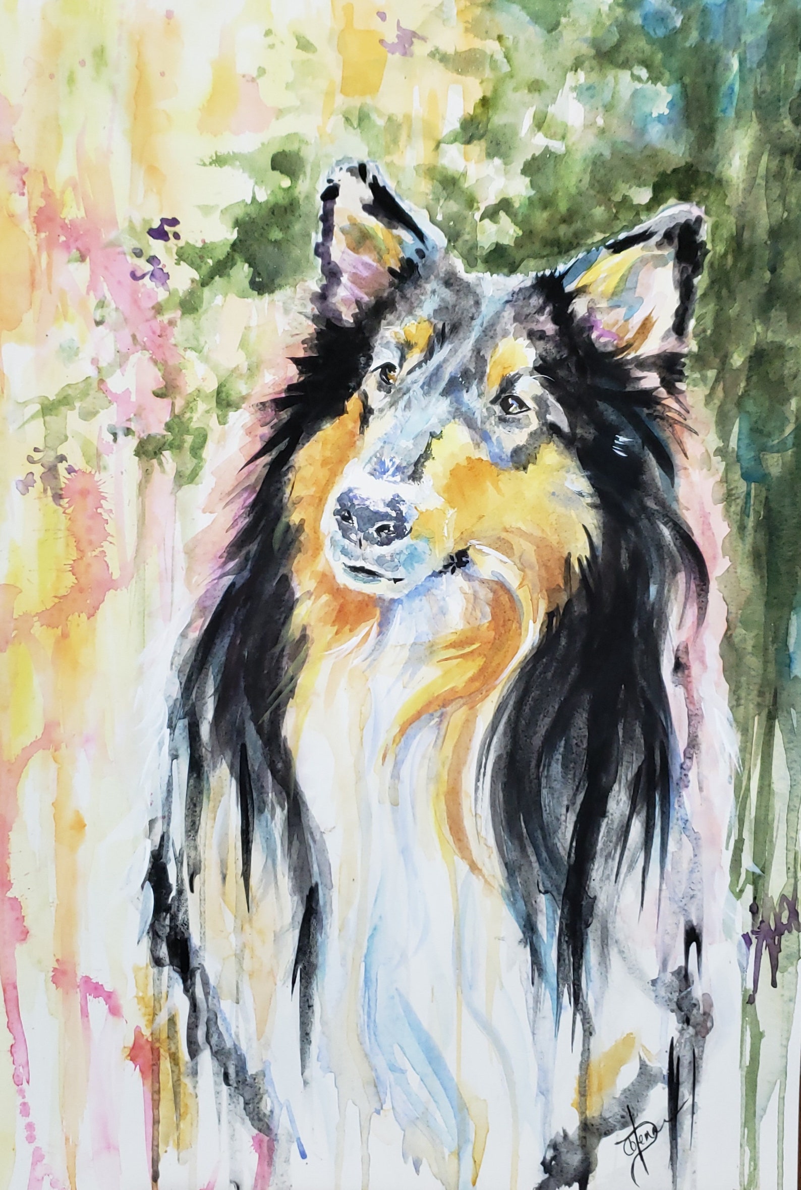 Collie Painting Watercolor Original Tricolor Rough Collie - Etsy