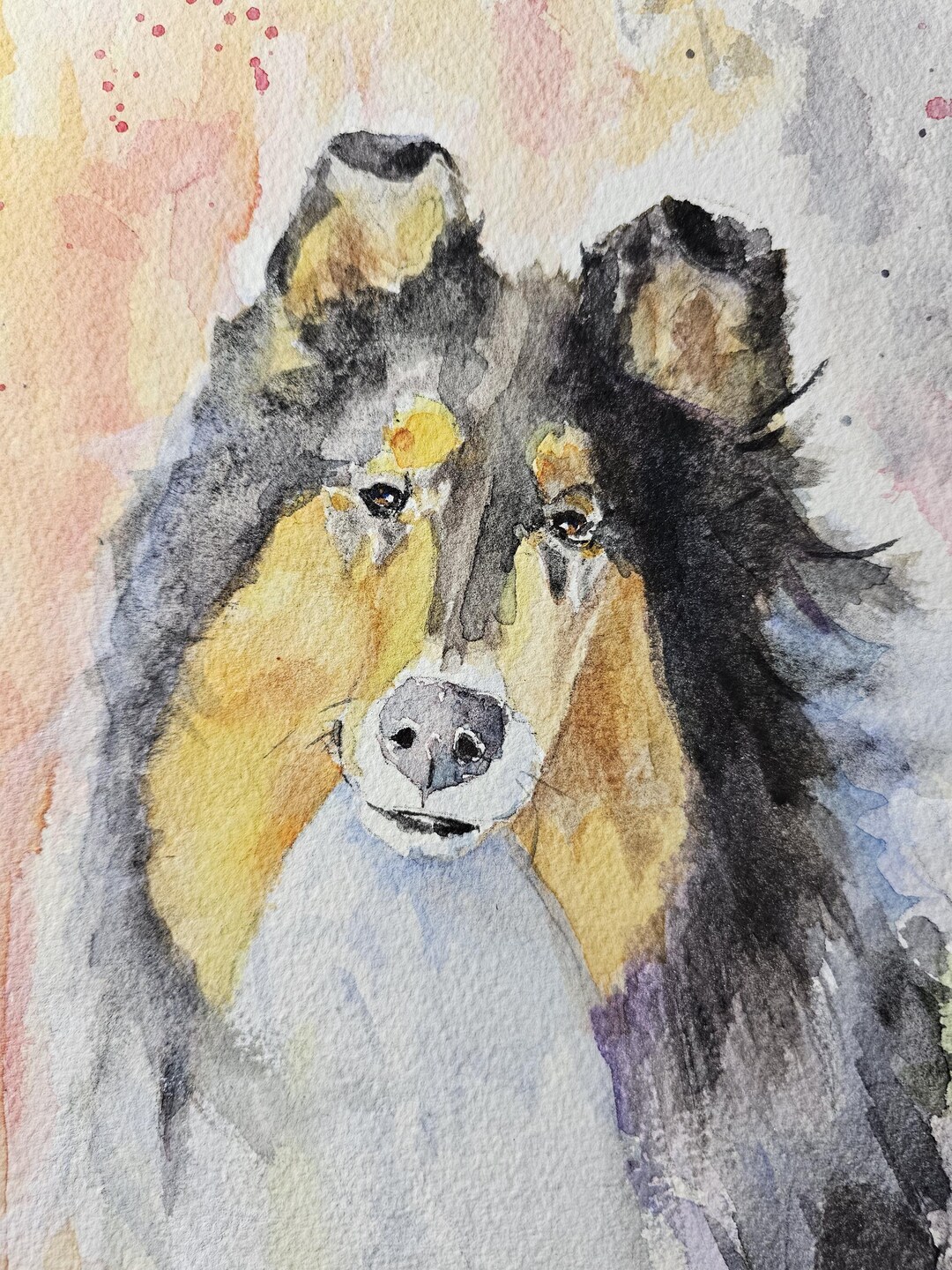 Watercolor Collie Painting, Tri Collie Watercolor, Rough Collie ...