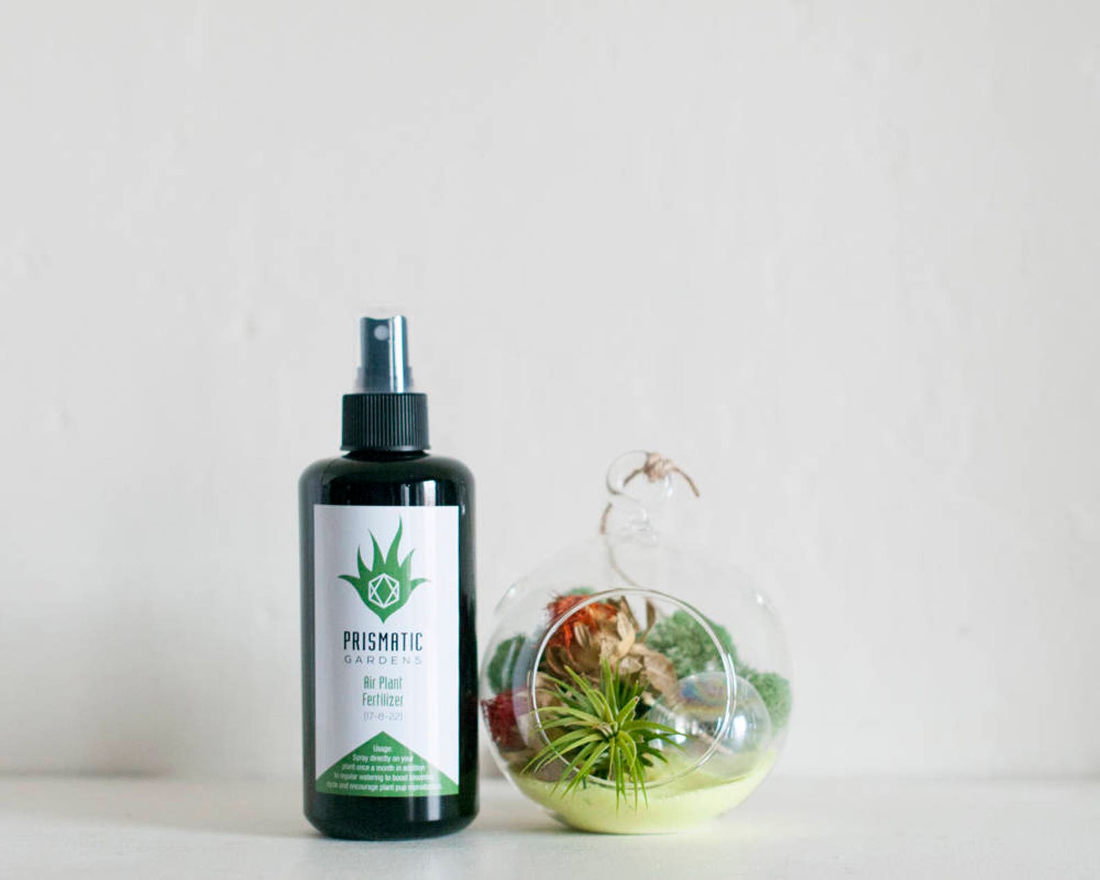 Air Plant Fertilizer Spray, Air Plant Tillandsia, Plant Food Sprayer ...