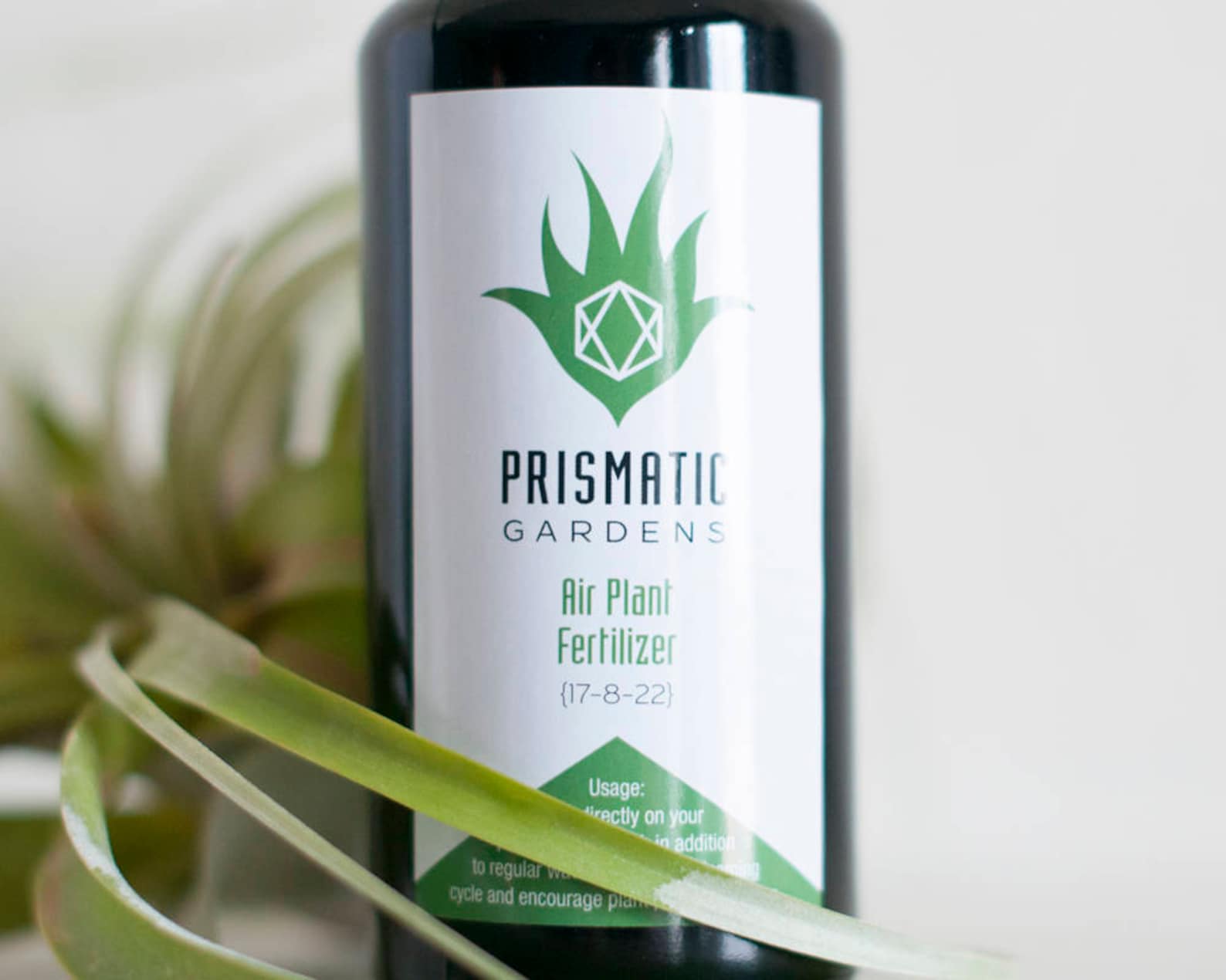 Air Plant Fertilizer Spray, Air Plant Tillandsia, Plant Food Sprayer ...