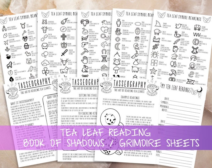 Tea Leaf Reading Set for Beginners, Basics of Fortune Telling Kit ...