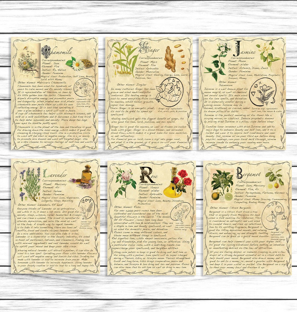 Basic Witchcraft Grimoire Printable Pages Book of Shadows | Etsy