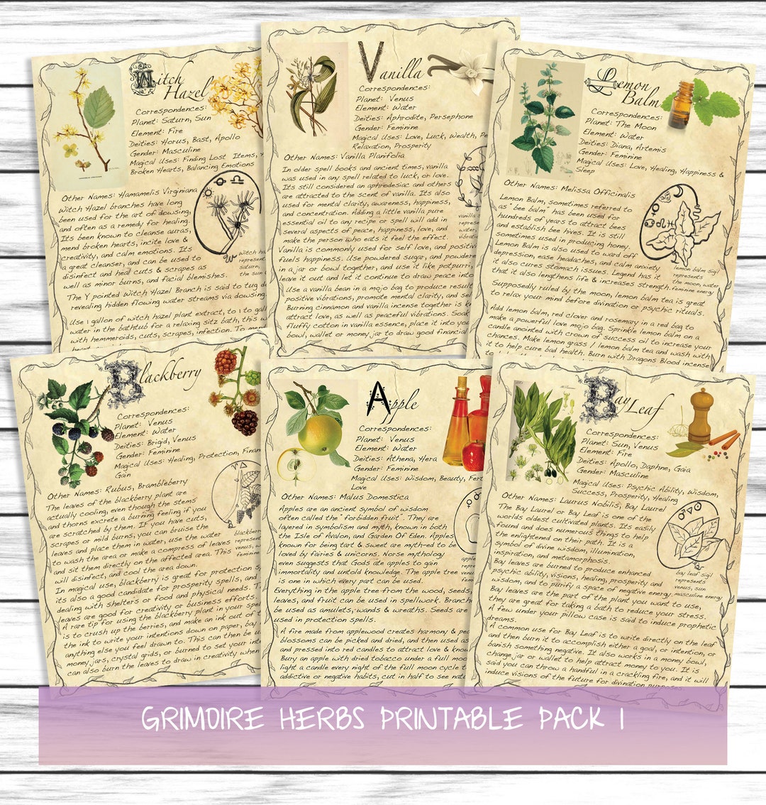 Basic Witchcraft Grimoire Printable Pages, Book of Shadows Pages, Herbs ...