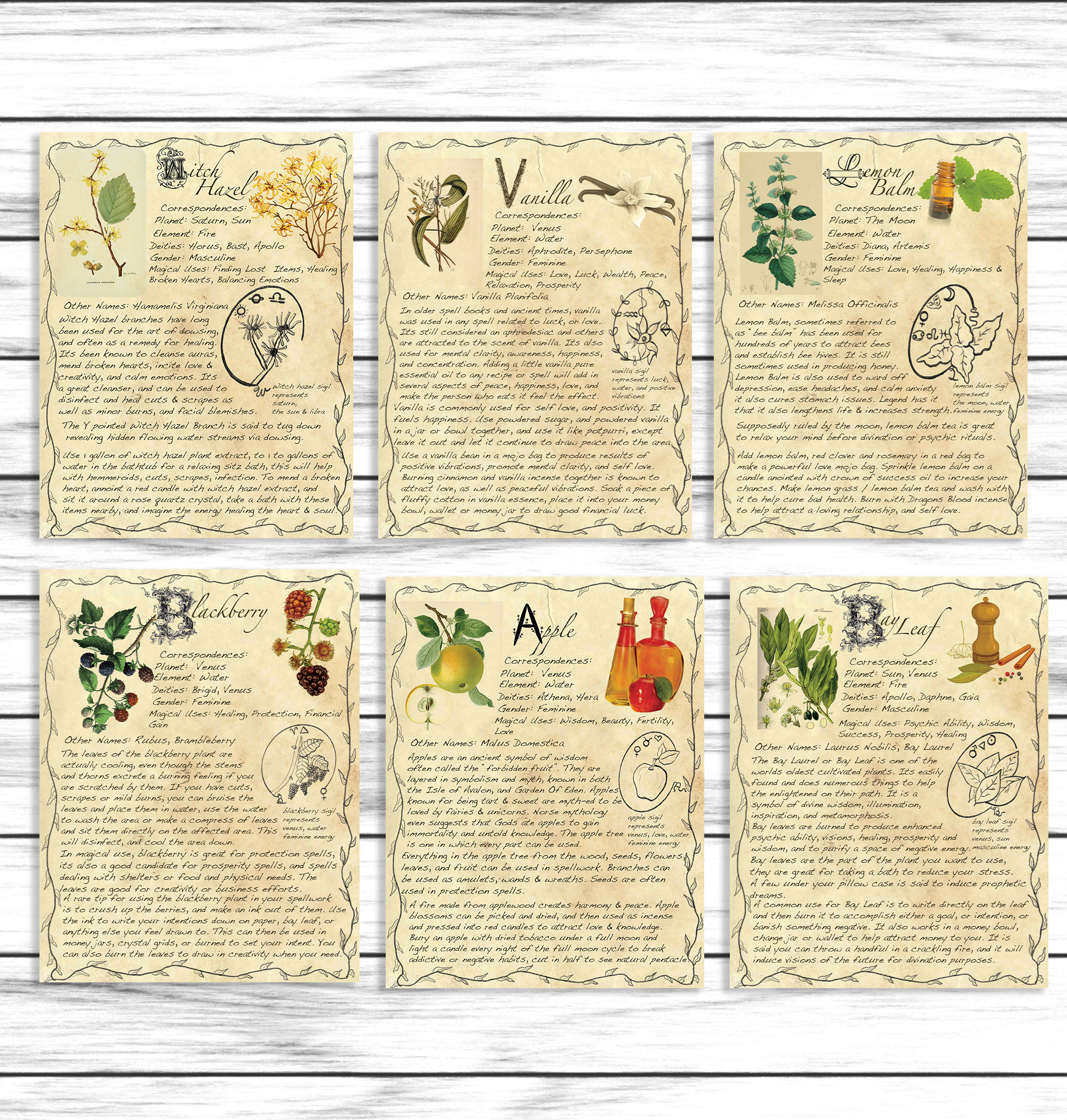 Basic Witchcraft Grimoire Printable Pages Book of Shadows - Etsy