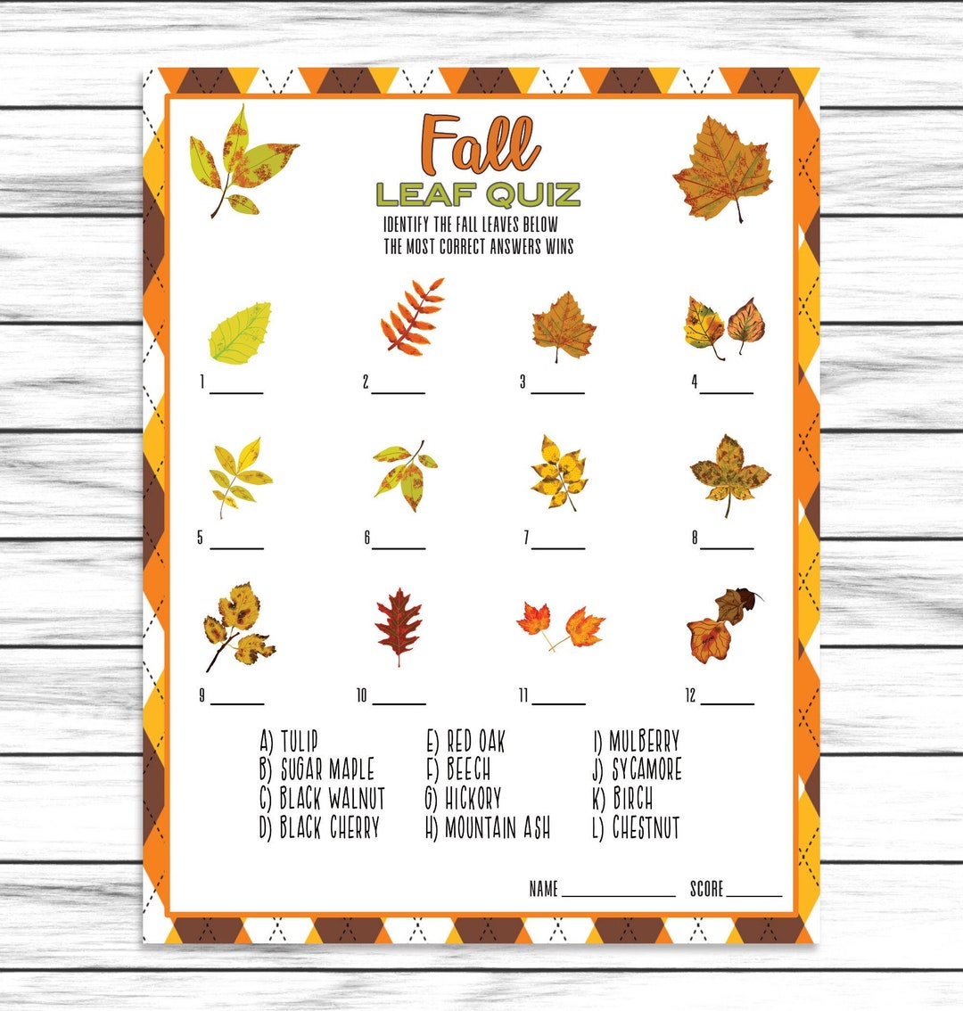 Fall Leaf Game, Fall Trivia Quiz, Party Game, Autumn Game, for Adults ...
