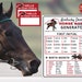 Whats Your Kentucky Derby Horse Name Game | Triple Crown Party Game ...