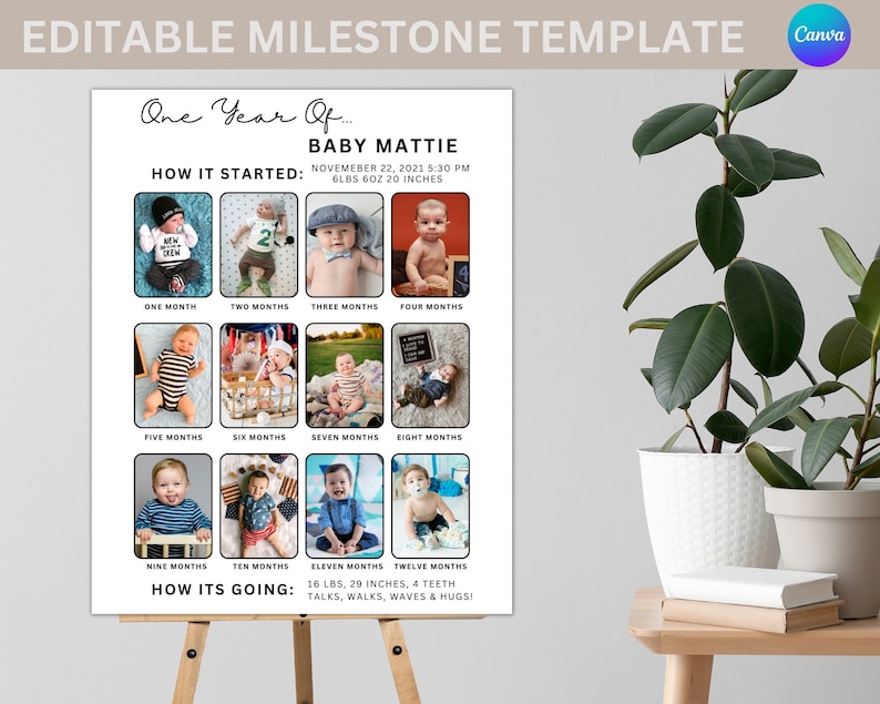 Editable Printable Baby's First Year Poster Template - Etsy