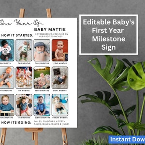 Editable Printable Baby's First Year Poster Template | Modern 1st ...
