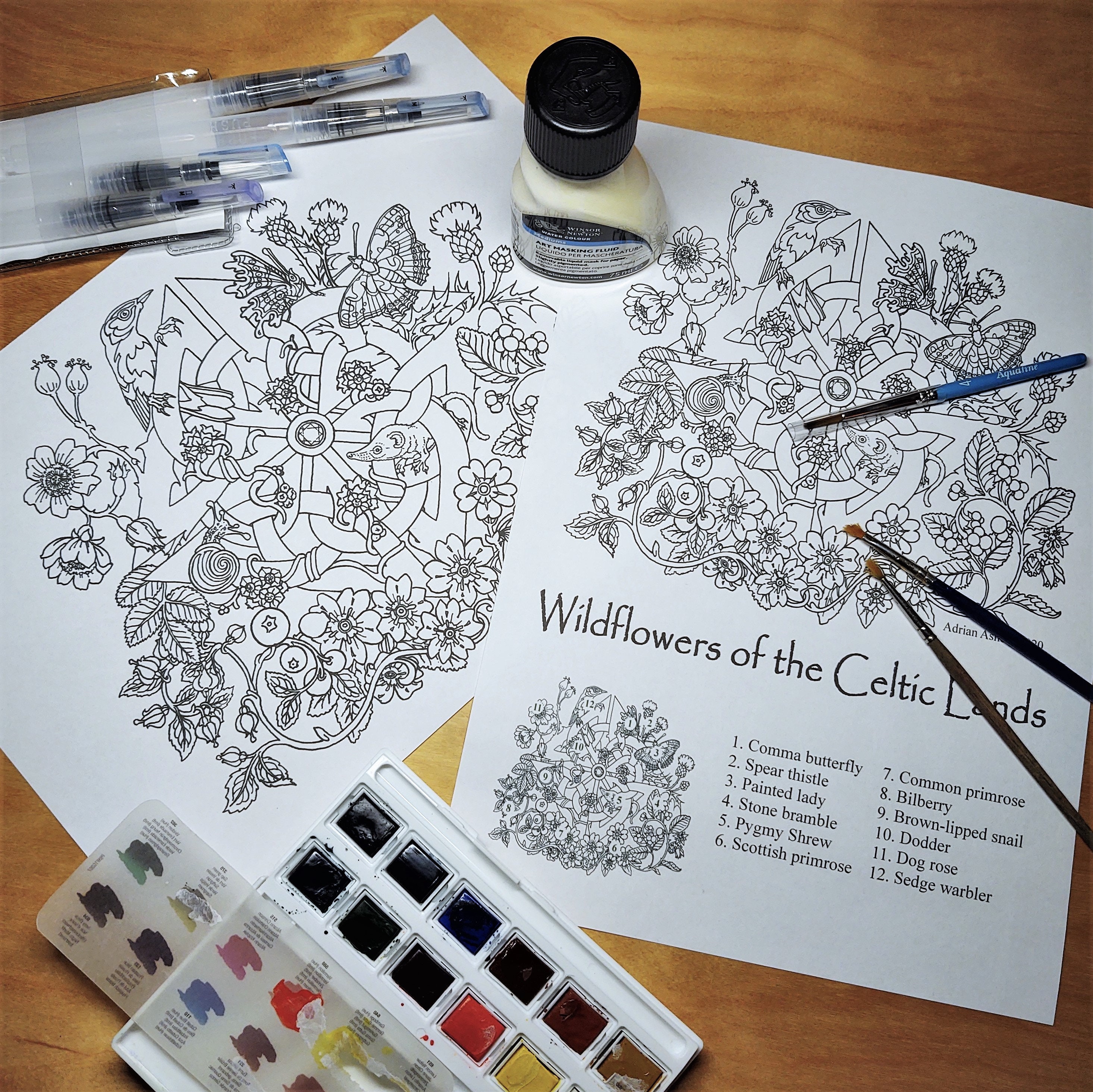 PDF colouring pages print at home 4 educational colouring | Etsy