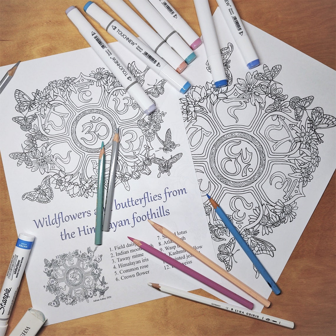 PDF colouring pages print at home 4 educational colouring | Etsy