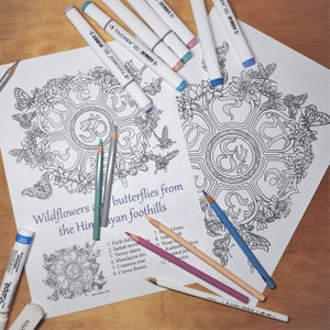 PDF Colouring Pages, Print at Home, 4 Educational Colouring PDF Files ...