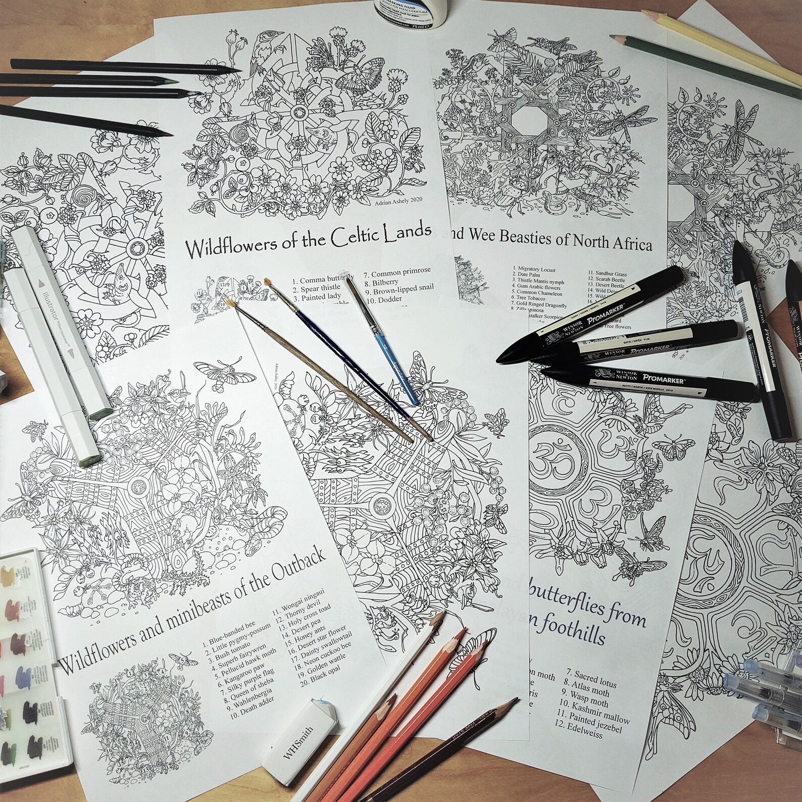 PDF colouring pages print at home 4 educational colouring | Etsy