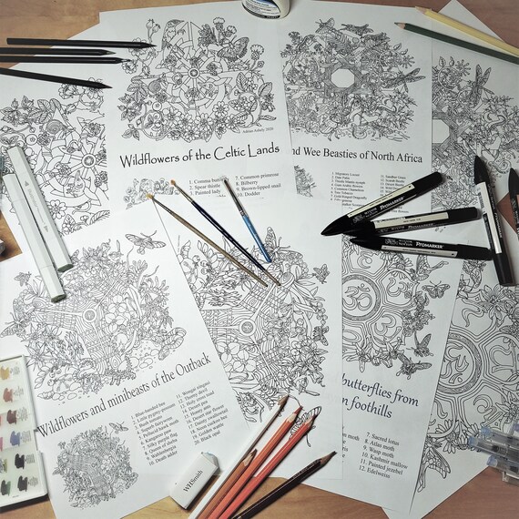 PDF colouring pages print at home 4 educational colouring | Etsy