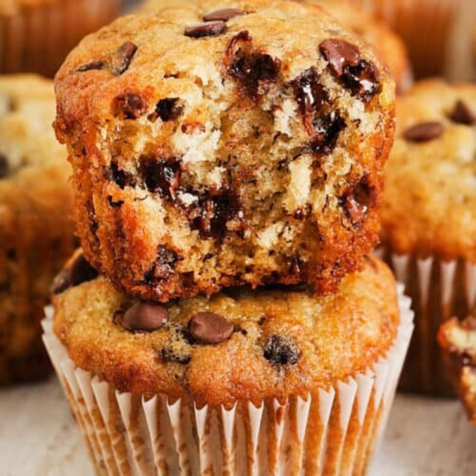 Jumbo Chocolate Chip Muffins Double Chocolate Chip Muffins - Etsy