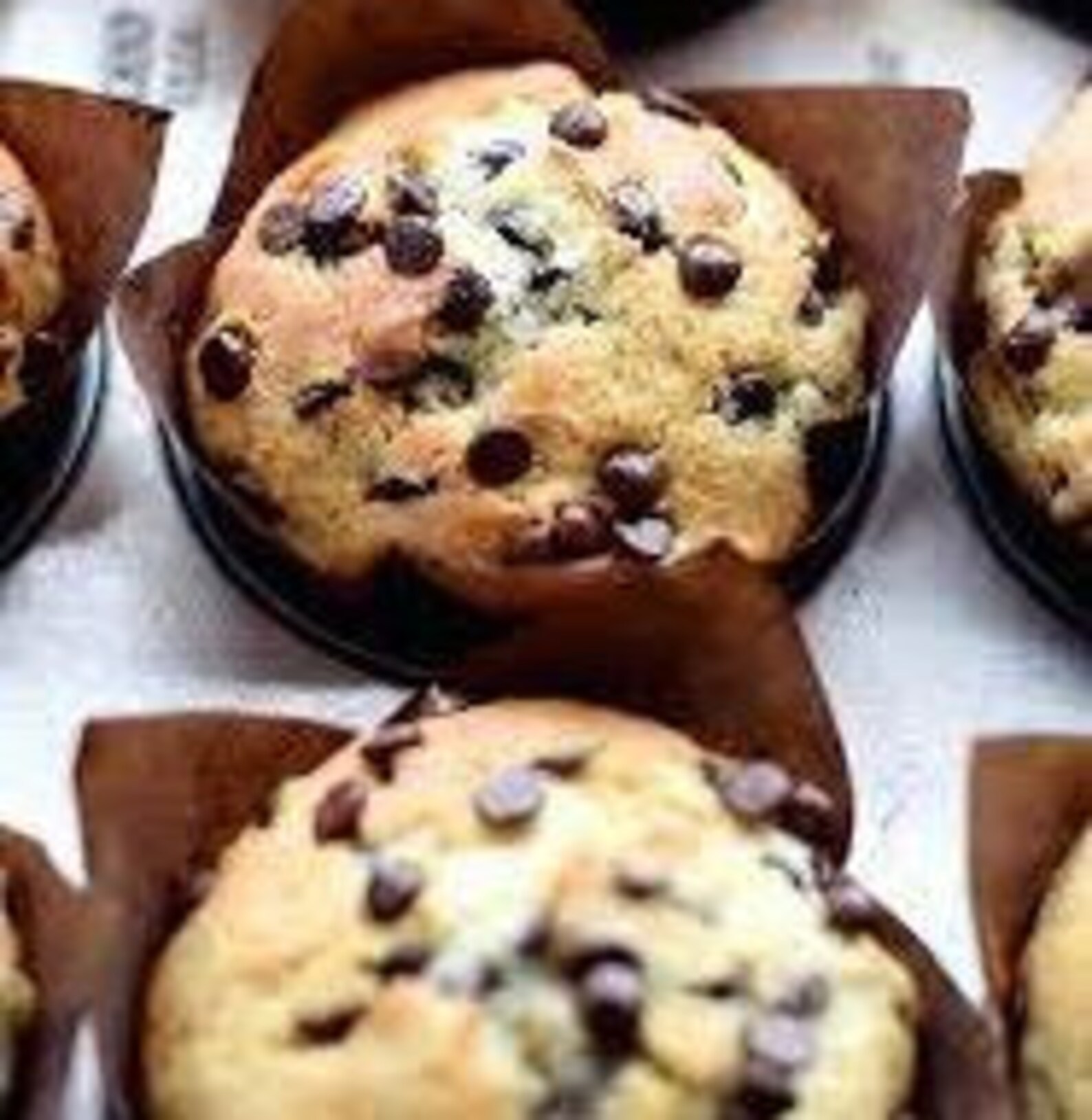 Jumbo Chocolate Chip Muffins Double Chocolate Chip Muffins - Etsy