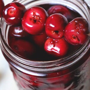 Dark Rum Cherries Cocktail Cherries Rum Soaked Cherries Drink Garnish ...
