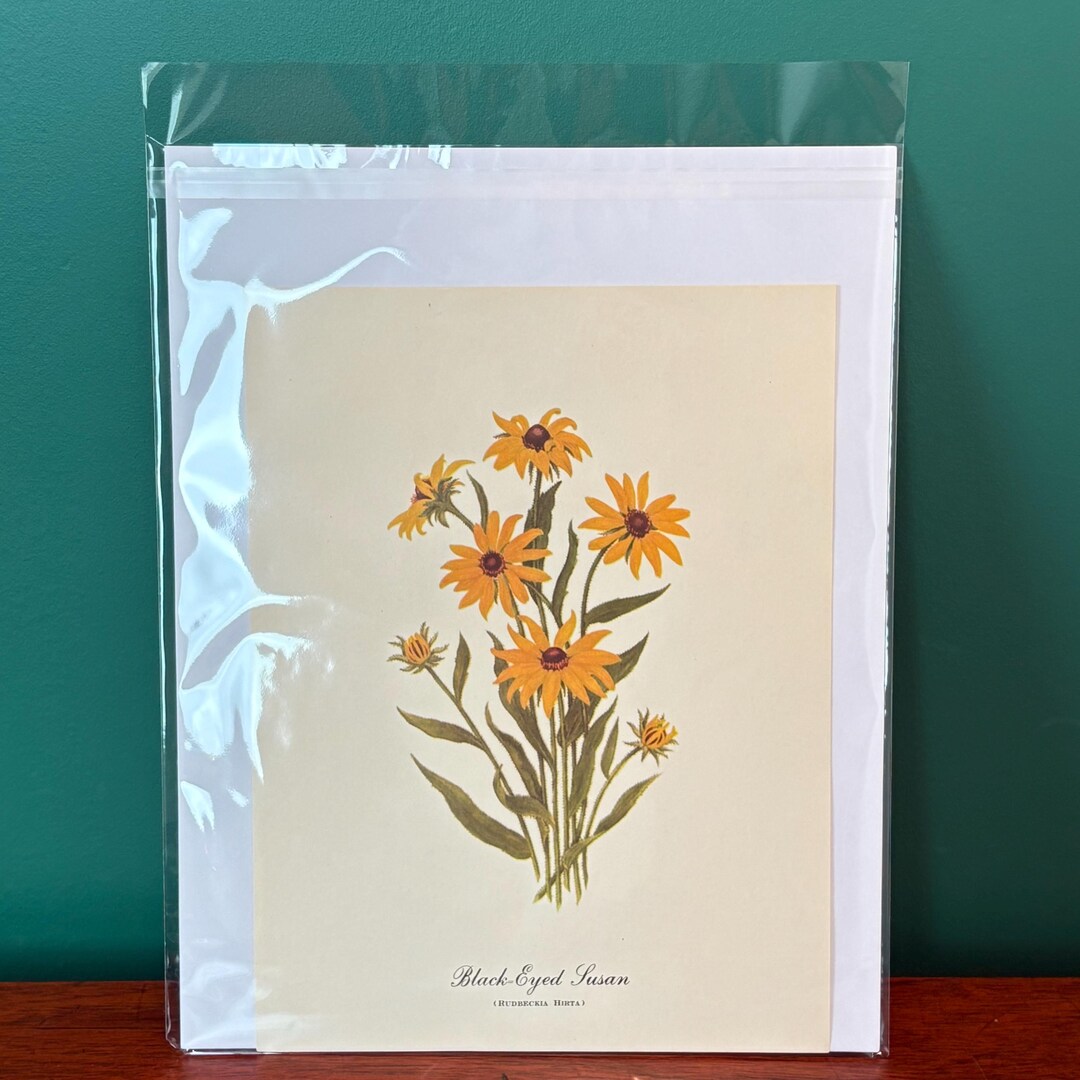 Vintage Smithsonian Institution Wild Flowers of North America Print ...