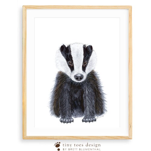 Watercolor Badger Print - Etsy