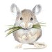 Baby Mouse Art, Woodland Animal Print, Mouse Watercolor, Woodland ...