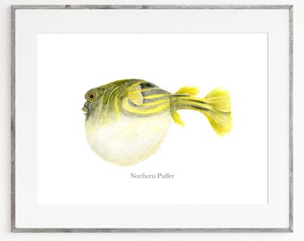 Puffer Fish Decor - Etsy