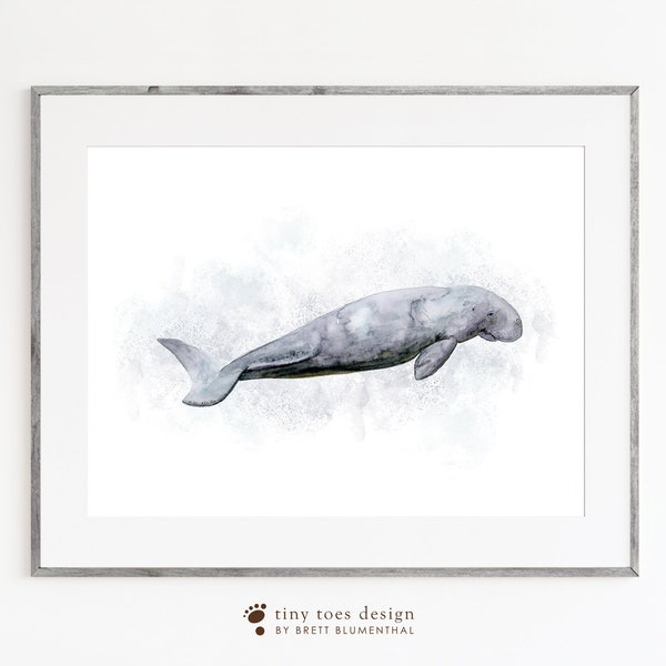 Dugong - Etsy