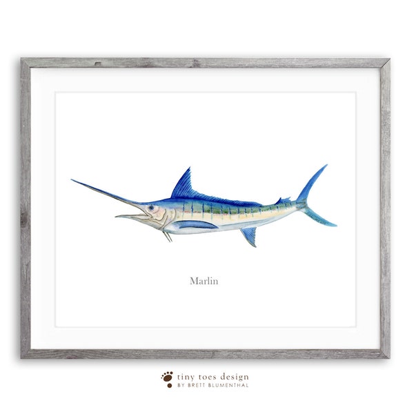 Billfish - Etsy
