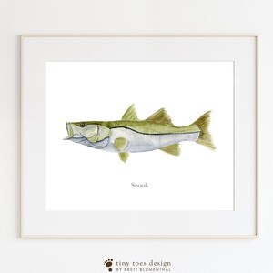 Snook Watercolor, Fish Painting, Snook Art Print, Snook Fish Decor ...