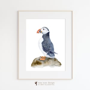 Atlantic Puffin Watercolor, Puffin Illustration, Arctic Bird Wall Decor ...