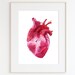 Anatomical Heart Print, Heart Anatomy Art Print, Anatomy Art, Anatomy ...