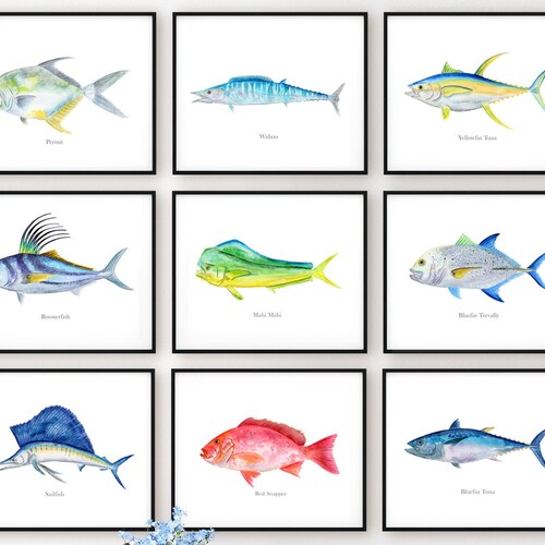 Fish Print Set Fishing Art Prints Fish Watercolors Gifts | Etsy