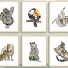 Woodland Nursery Art, Set of 6, Sleeping Baby Animals, Baby Animal ...
