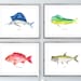 Fish Decor, Fishing Art Print Set of 4 Fish Prints, Deep Sea Fishing ...