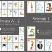 Alphabet and Numbers Printable Flash Cards ABC and 123 | Etsy