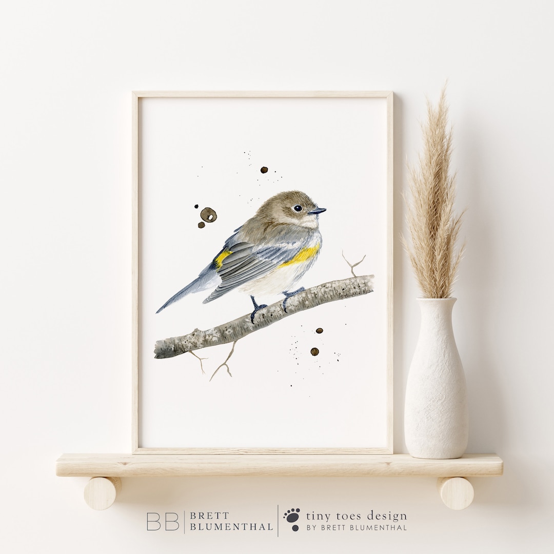 Yellow-rumped Warbler Watercolor, North American Bird, Warbler Art ...