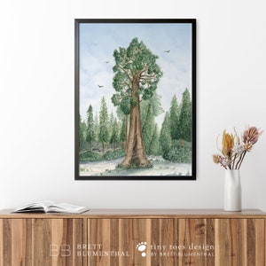 Sequoia National Park Poster, California Decor, Sequoia Tree Travel ...