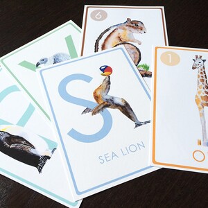 Alphabet and Numbers - Printable Flash Cards - ABC and 123 Wall Cards ...