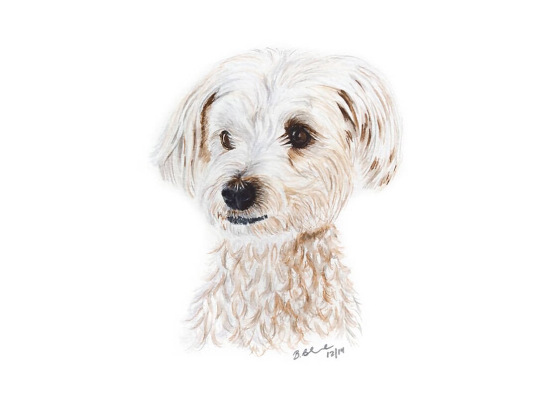 Morkshire Terrier Watercolor - Morkie Painting - Dog Art Print - Dog ...