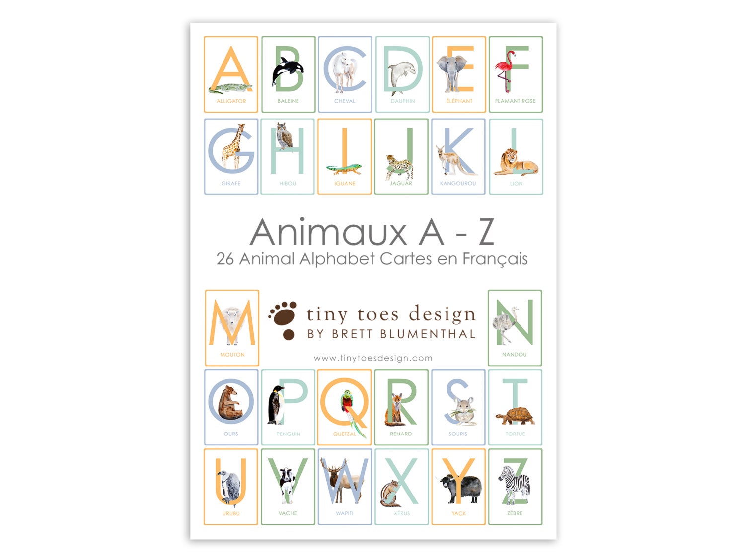 French Alphabet - Children's Wall Cards - Printable PDF Download 5x7 ...
