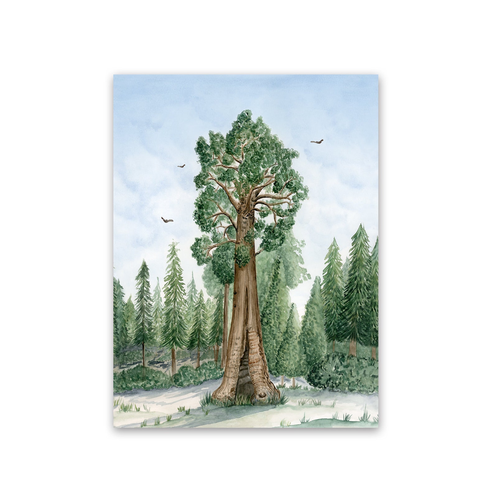 Sequoia National Park Poster California Decor Sequoia Tree | Etsy