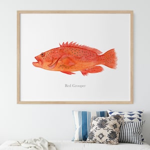Red Watercolor Fish, Red Grouper Fish Painting, Grouper Fish Mount ...