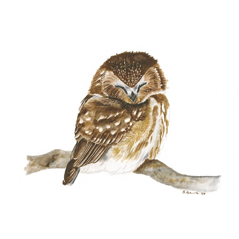 Woodland Baby Animals Print Set Woodland Nursery Sleeping | Etsy