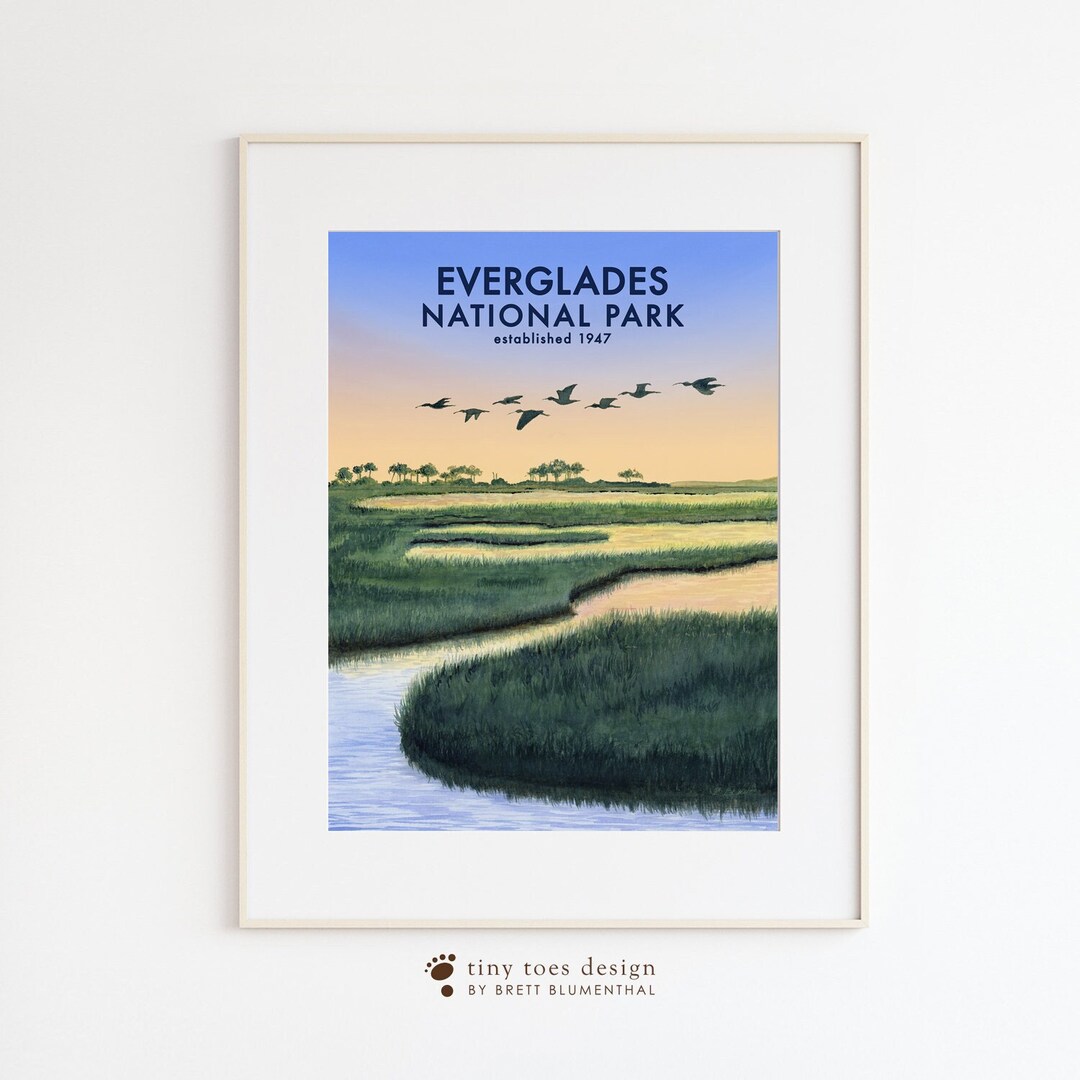 Everglades National Park Print, Florida National Park Poster, Travel ...