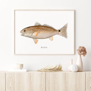 Ocean Fish Painting, Redfish Watercolor Art, Deep Sea Fishing Print ...
