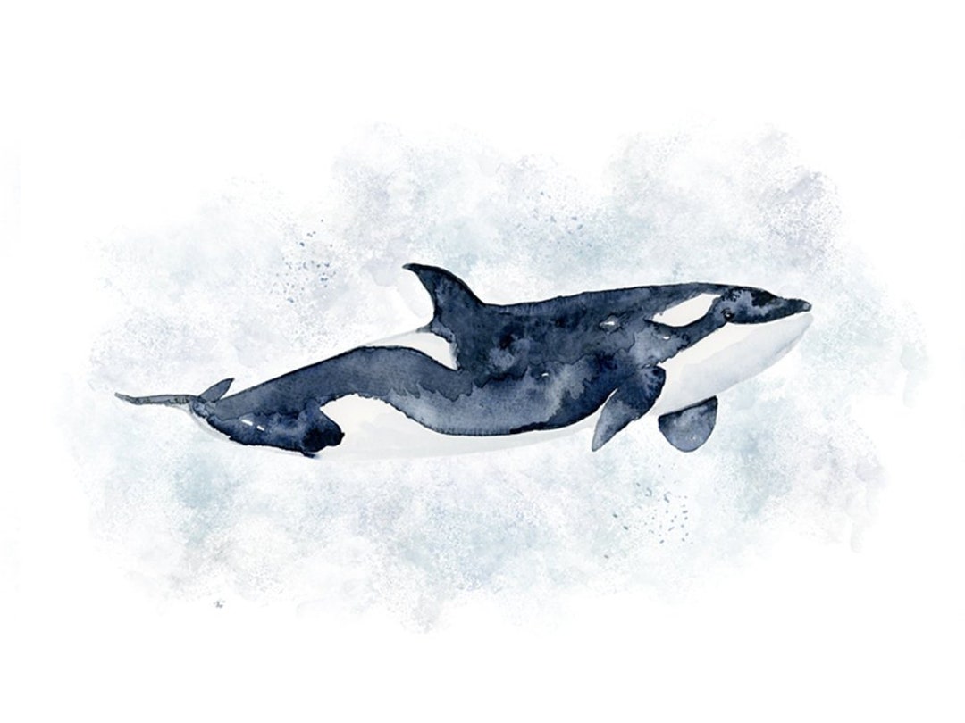 Orca Print Killer Whale Ocean Nursery Art Marine Animal - Etsy