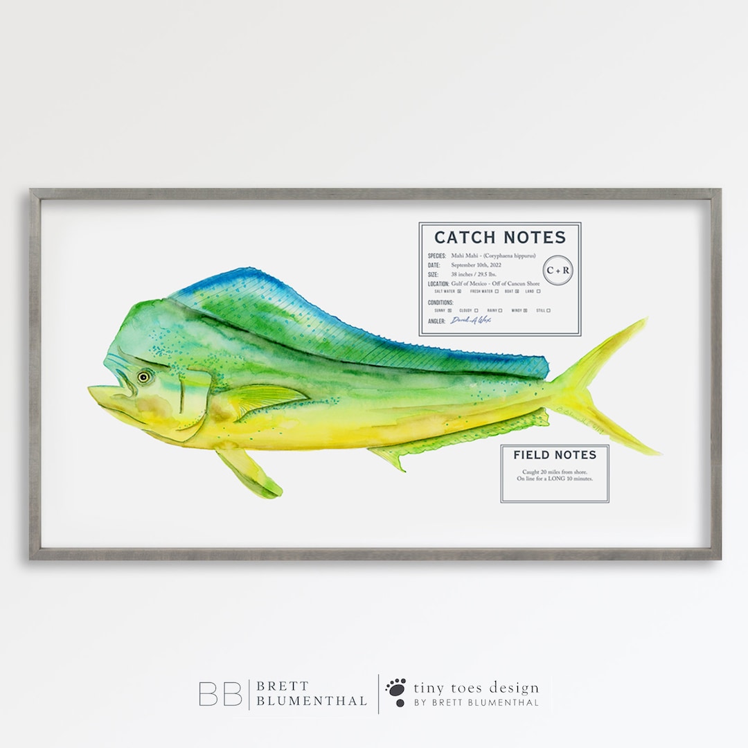 Custom Mahi Mahi Wall Art – Dorado Watercolor Fishing Gift for Men - Etsy