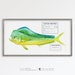 Lake Fish Art, Fish Watercolor Print Set, Fish Wall Art Set, Fishing ...
