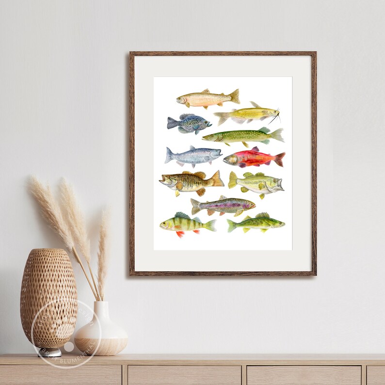 Freshwater Fish Print Fish Wall Art Watercolor Fish Fishing - Etsy