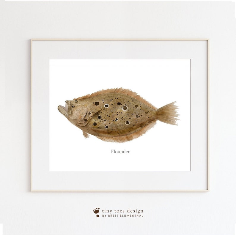 Flounder Wall Art Flatfish Print Summer Flounder Watercolor - Etsy