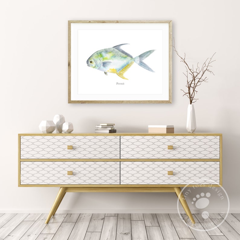 Watercolor Fish Permit Fish Print Permit Fishing Mount Art | Etsy