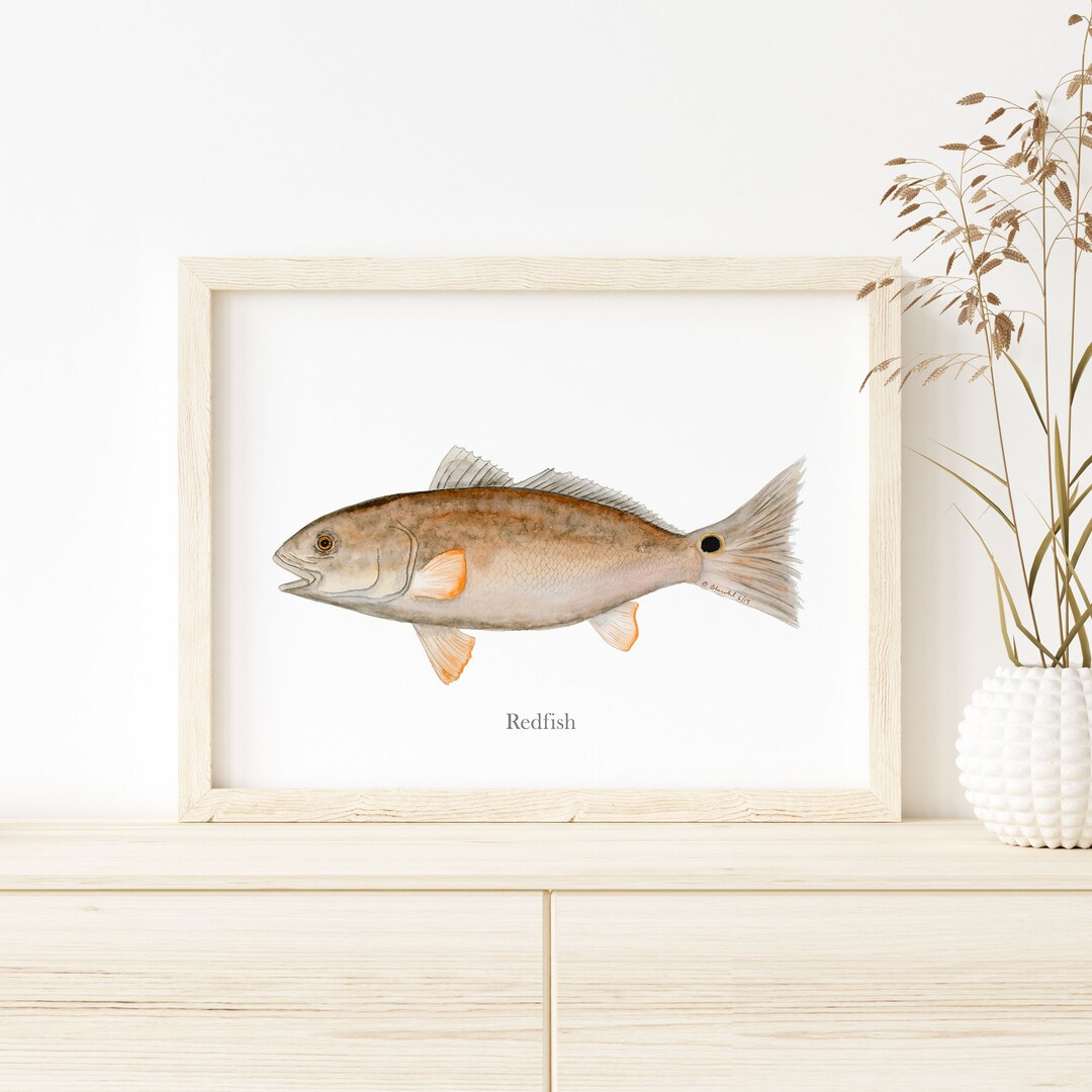 Ocean Fish Painting, Redfish Watercolor Art, Deep Sea Fishing Print ...
